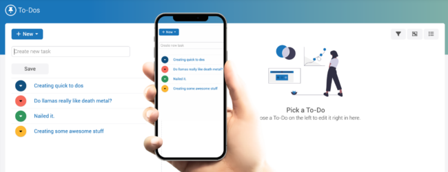Cross functional project management - Leantime